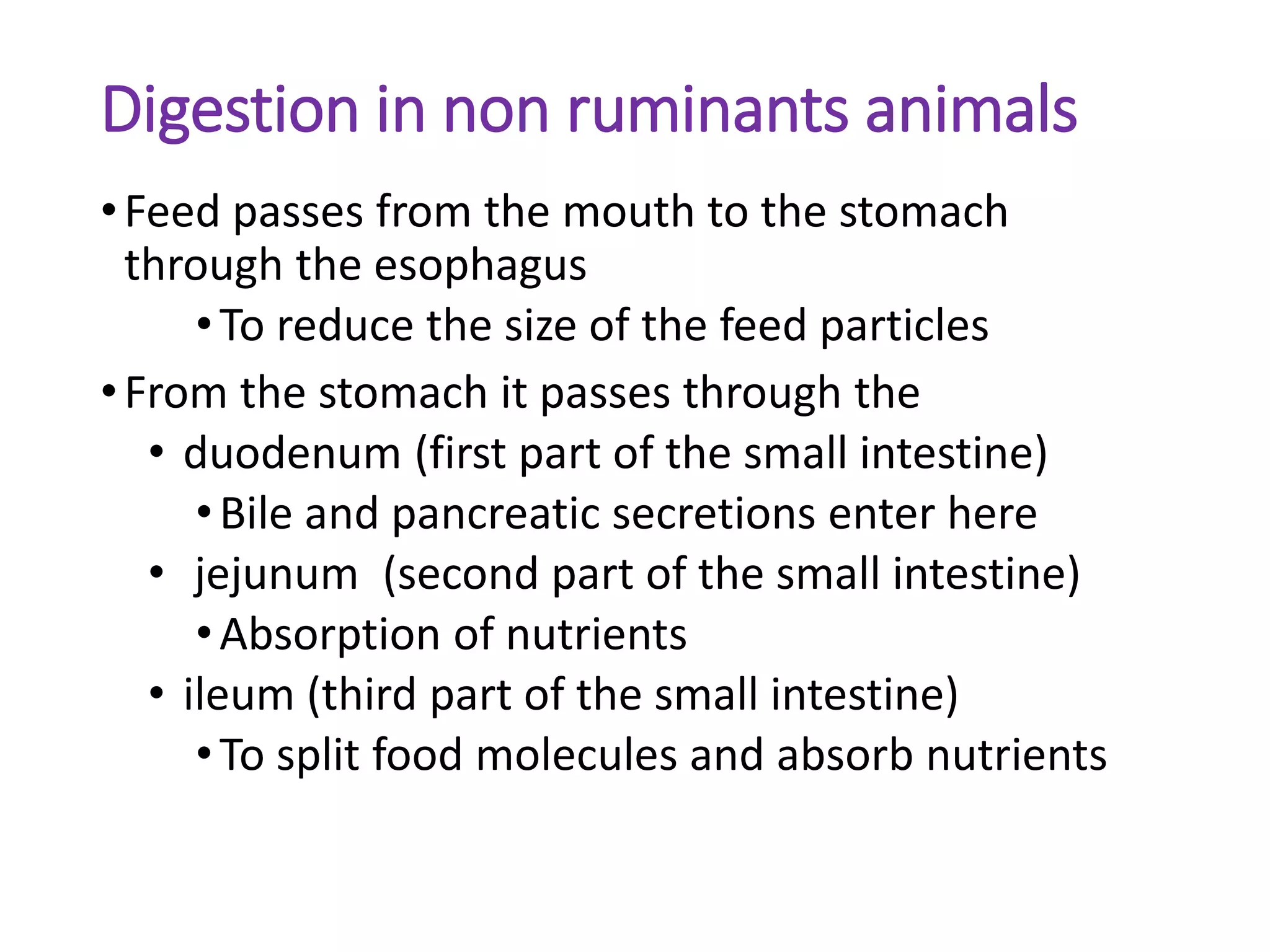Different types of digestive system in animals.pdf