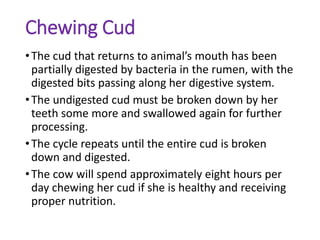 Different types of digestive system in animals.pdf