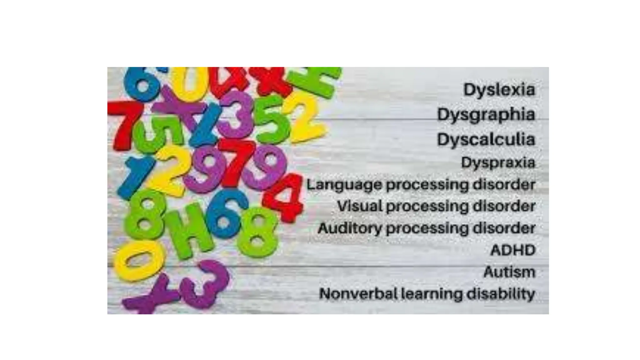 Presentation on Different Types of Disabilities.pptx
