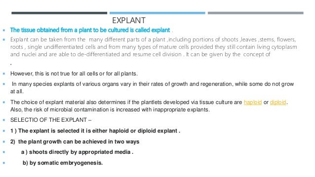 Different types of Explants in Tissue Culture.pptx