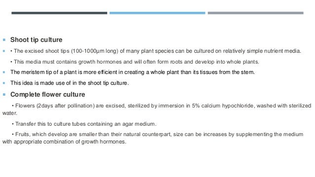 Different types of Explants in Tissue Culture.pptx