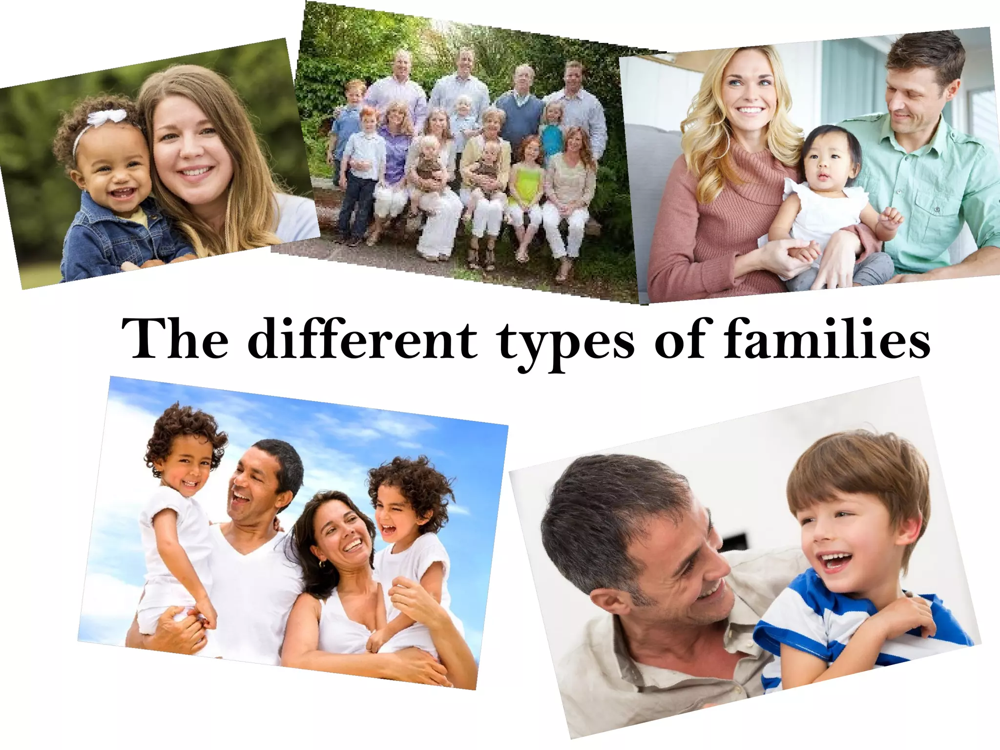 Different types of families | POT