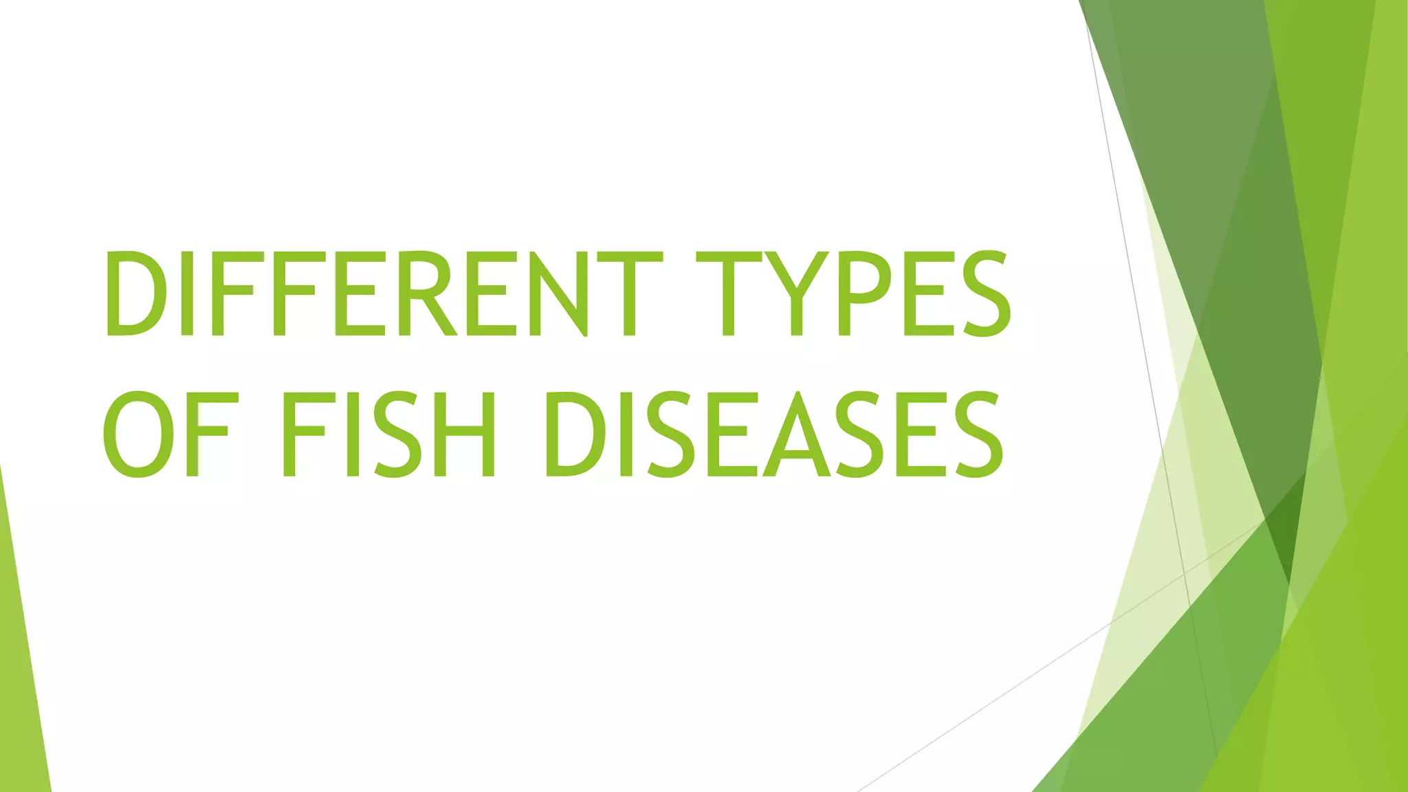 FISH DISEASES AND THEIR TYPES | PPTX