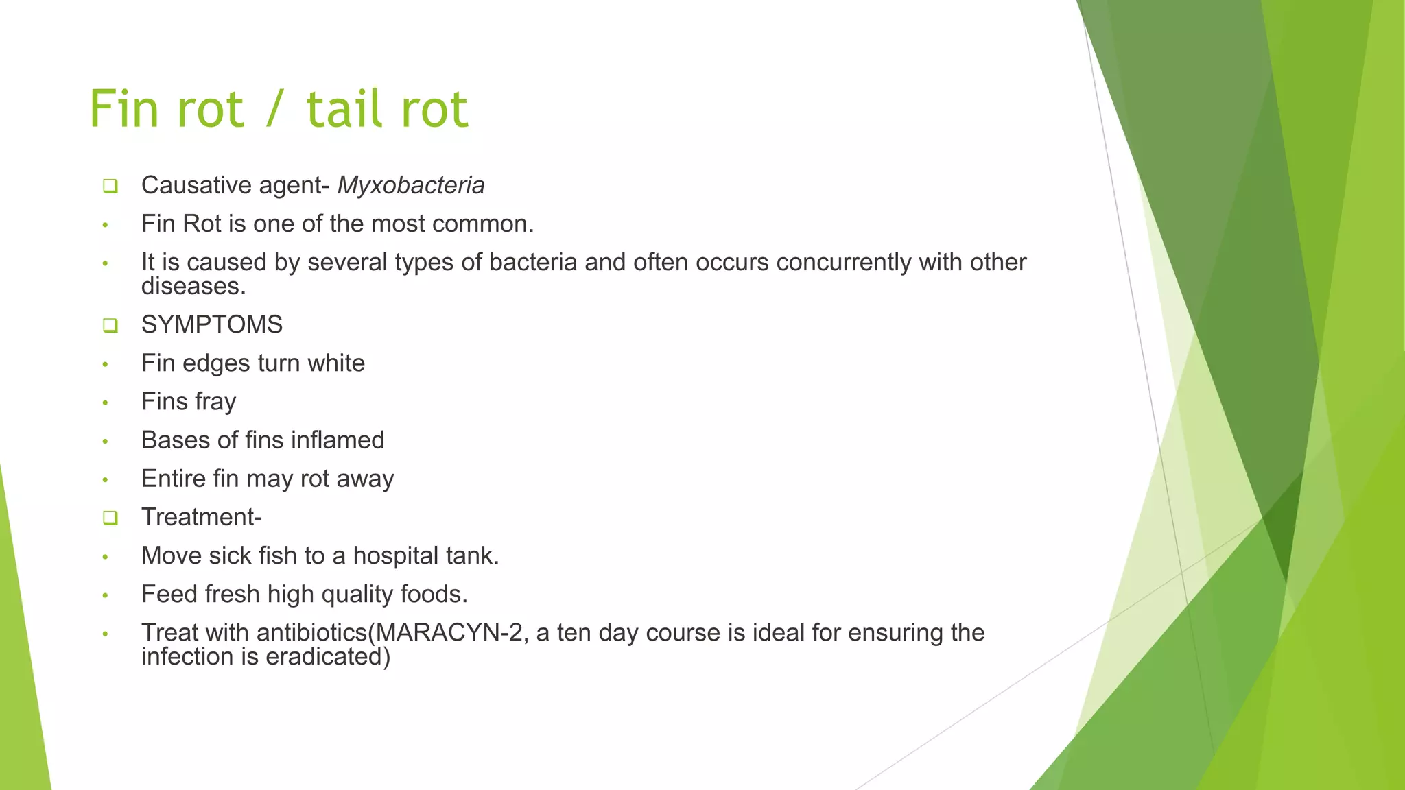 FISH DISEASES AND THEIR TYPES | PPTX