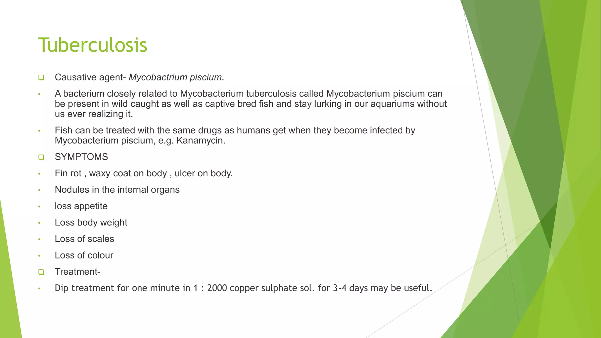 FISH DISEASES AND THEIR TYPES | PPTX