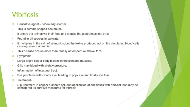 FISH DISEASES AND THEIR TYPES | PPTX | Veterinary Medicine | Pets