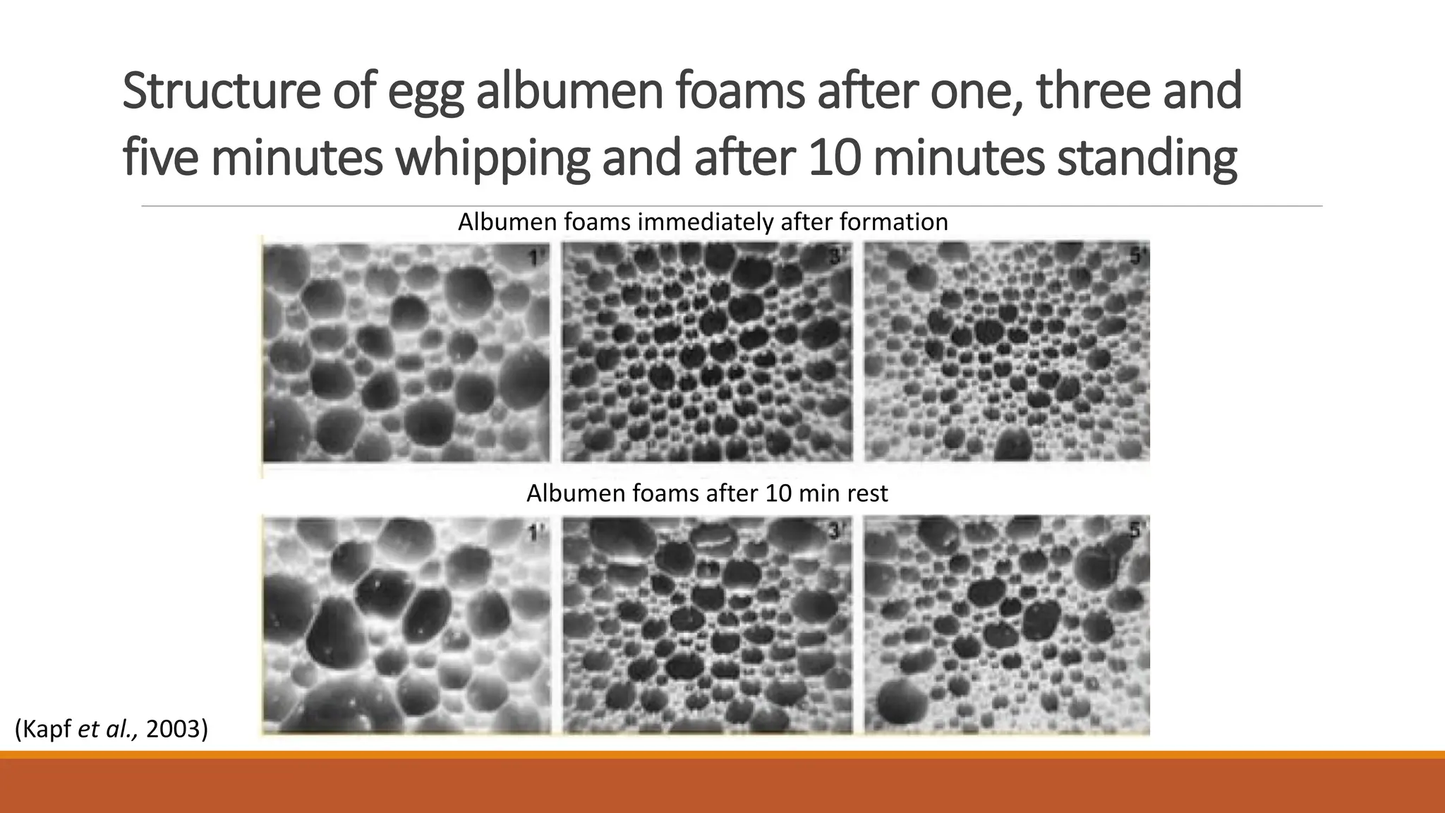 Different Types of Food Product Drying (Foam mat, heat pump and osmotic ...