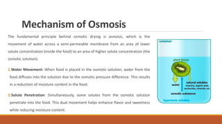 Different Types of Food Product Drying (Foam mat, heat pump and osmotic ...