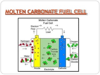 DIFFERENT TYPES OF FUEL CELLS POWER GENERATION.pptx