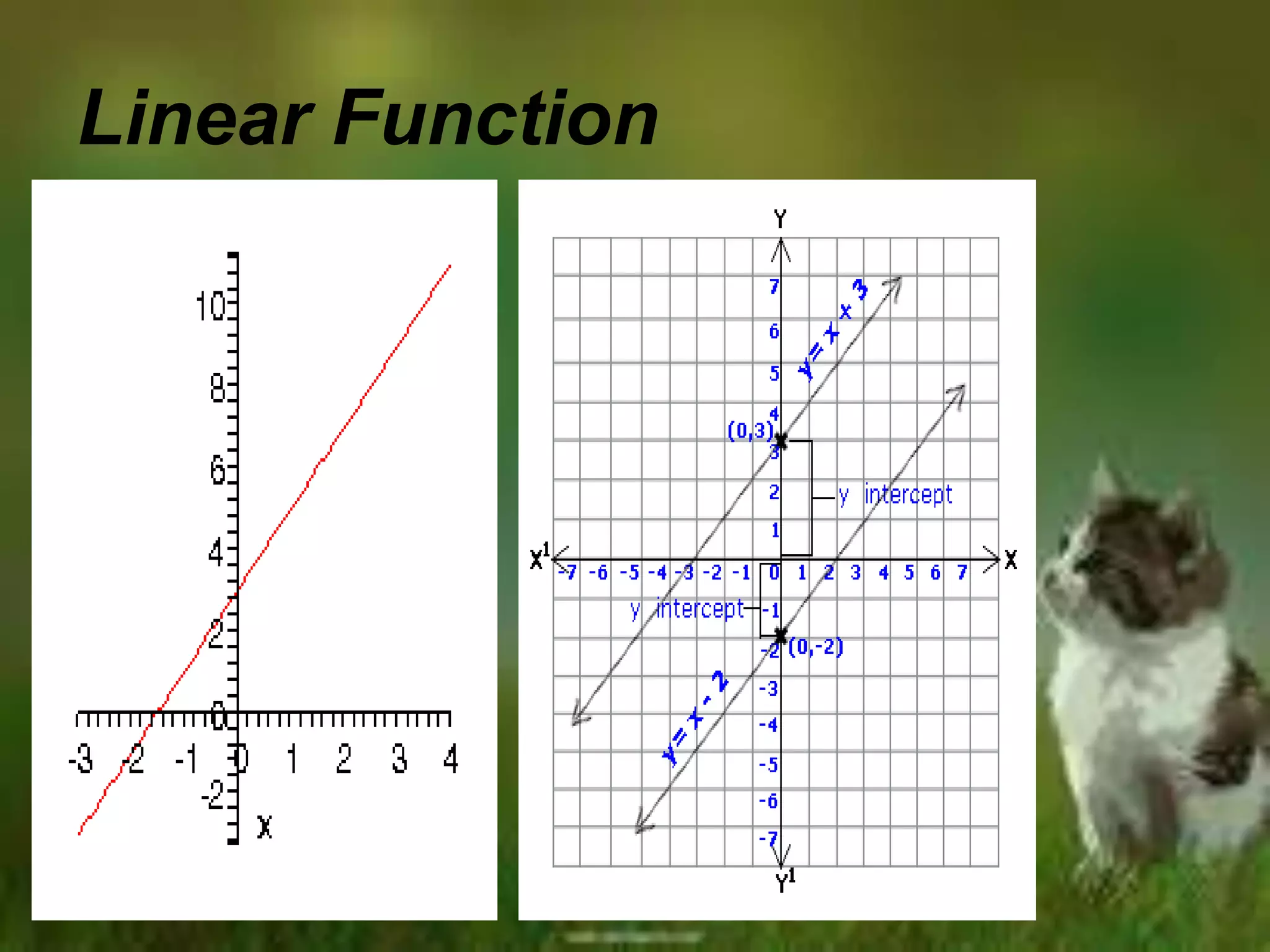 Different types of functions | PPTX
