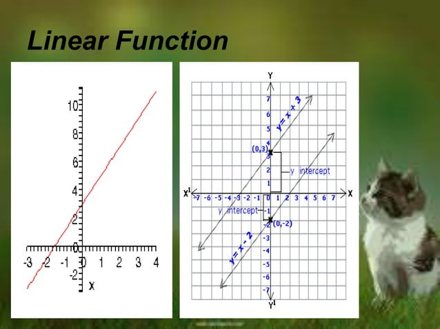 Different types of functions | PPTX | Computing | Technology & Computing