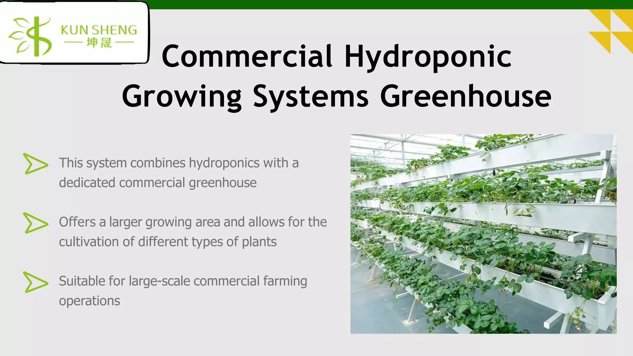 Different Types of Hydroponic Growing Systems (Greenhouse).pptx