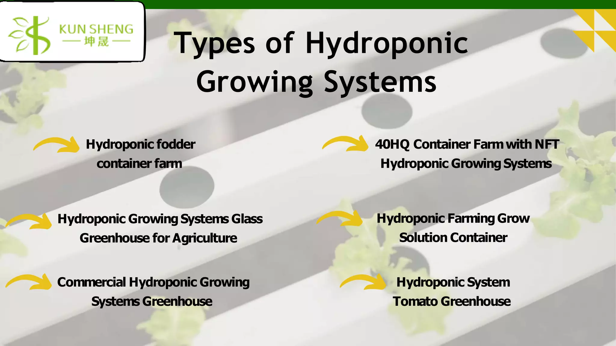 Different Types of Hydroponic Growing Systems (Greenhouse).pptx
