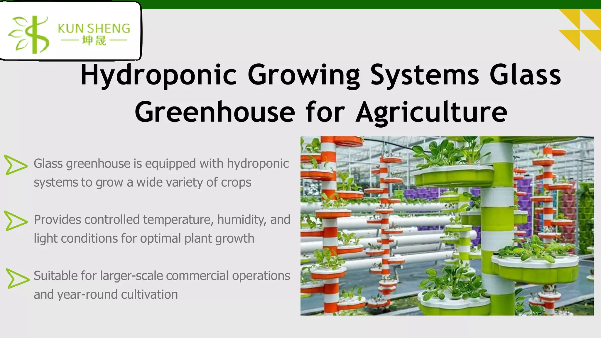 Different Types of Hydroponic Growing Systems (Greenhouse).pptx