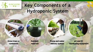 Different Types of Hydroponic Growing Systems (Greenhouse).pptx
