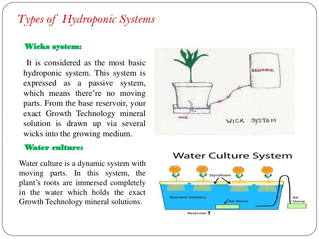 Different Types Of Hydroponic Systems