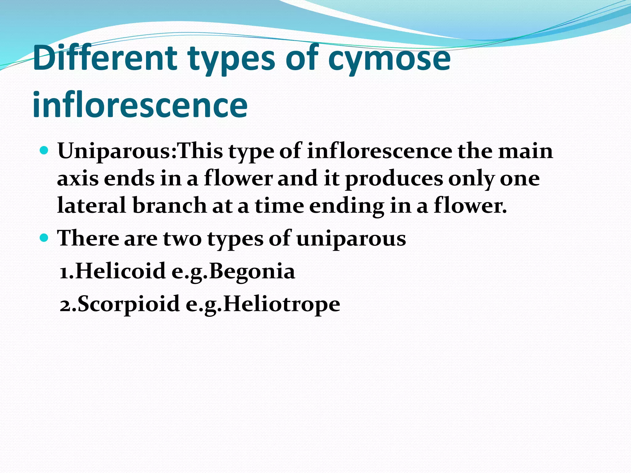 Different types of inflorescence | PPTX