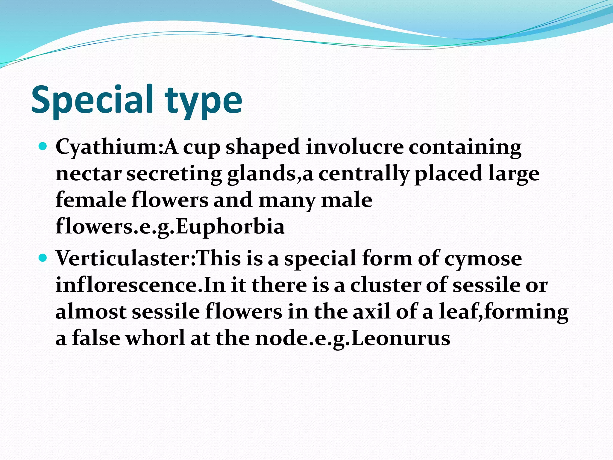 Different types of inflorescence | PPTX
