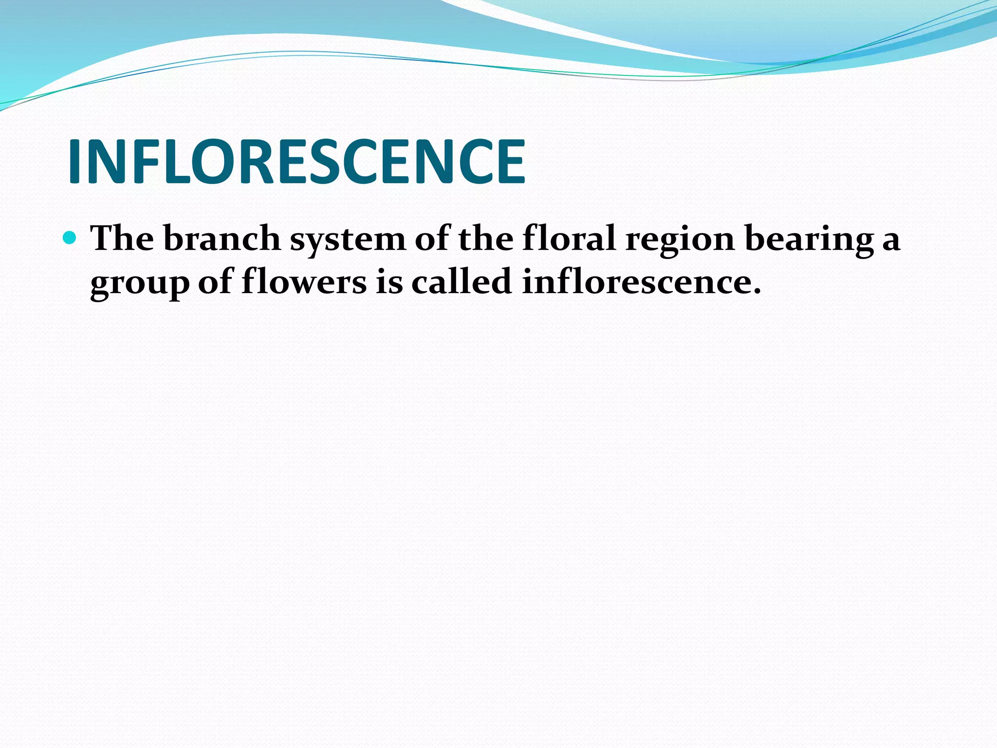 Different types of inflorescence | PPTX