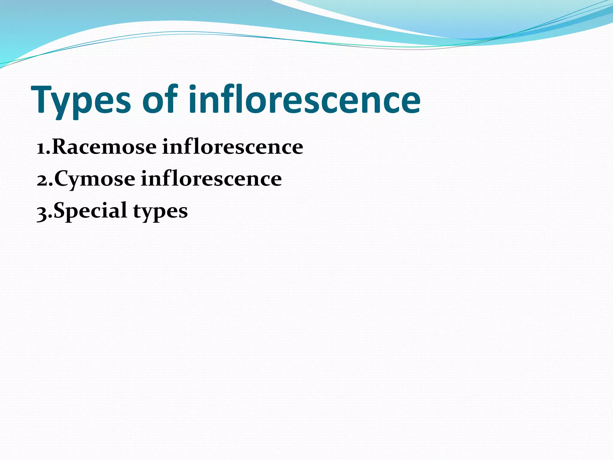 Different types of inflorescence | PPTX