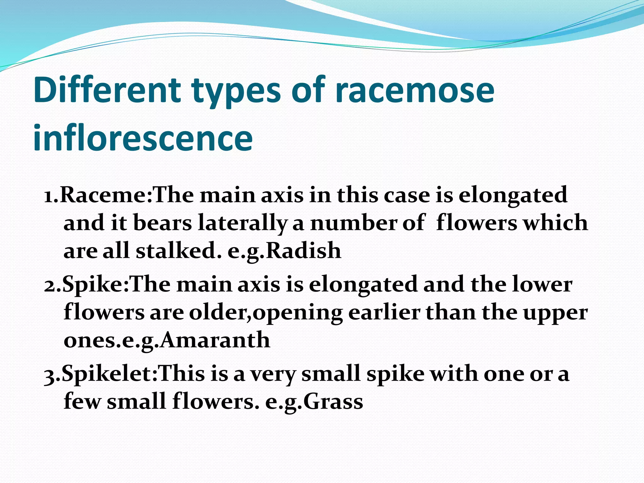 Different types of inflorescence | PPTX