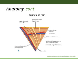 Laparoscopic Inguinal Hernia Repair Triangle Of Doom