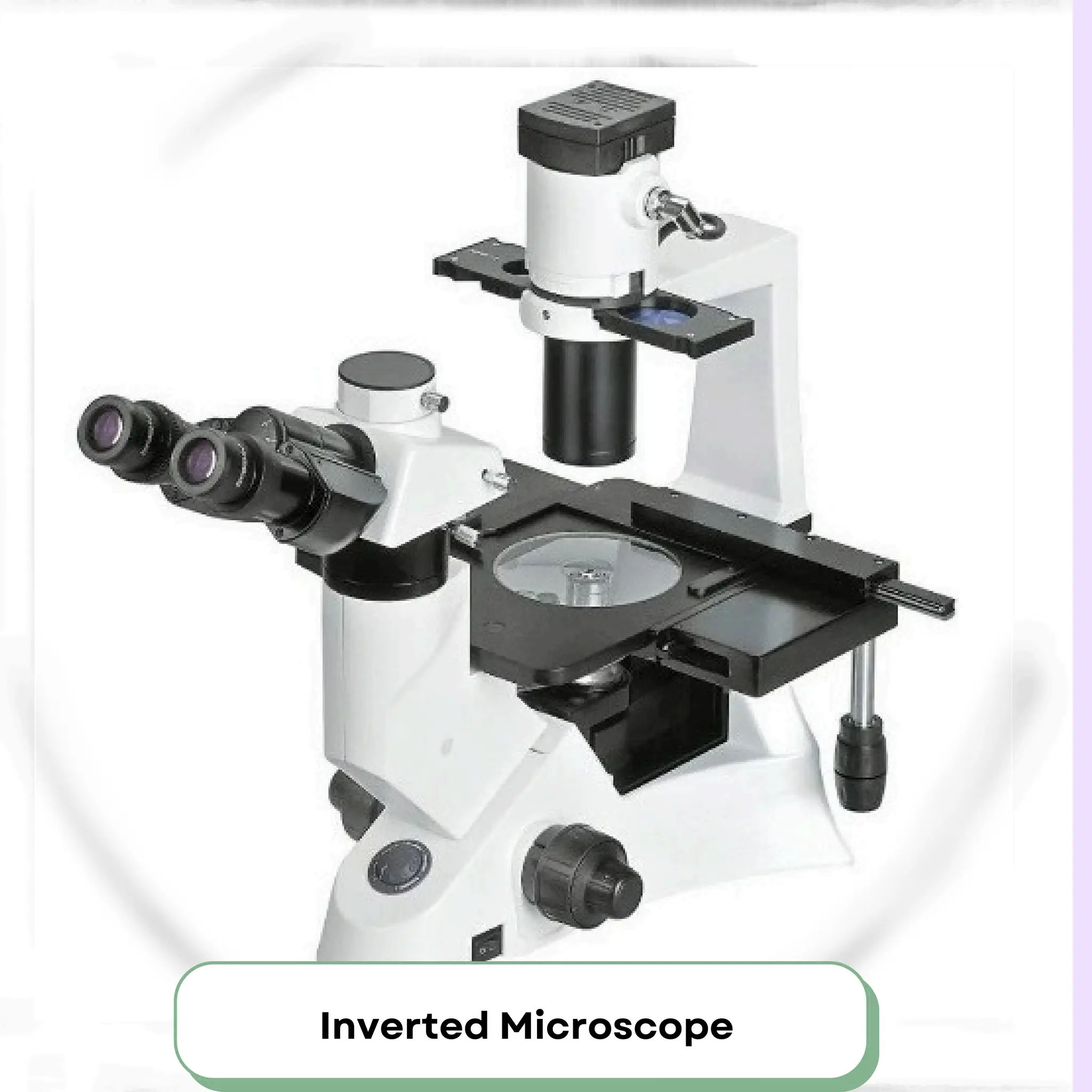 What are some Different Types of Microscope? | PDF