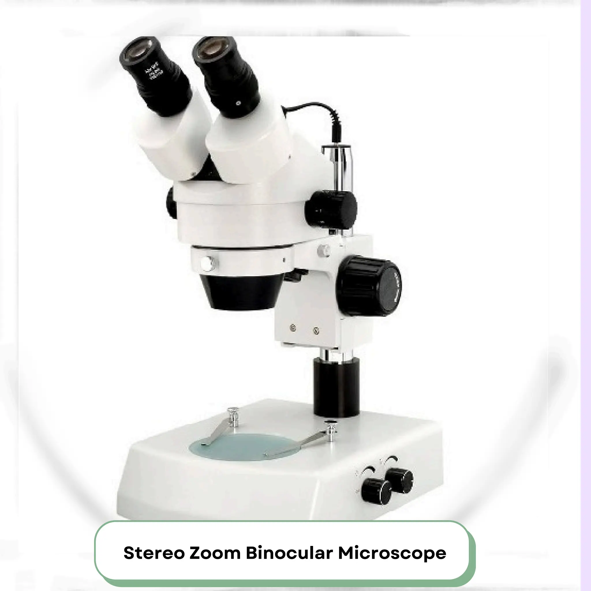 What are some Different Types of Microscope? | PDF
