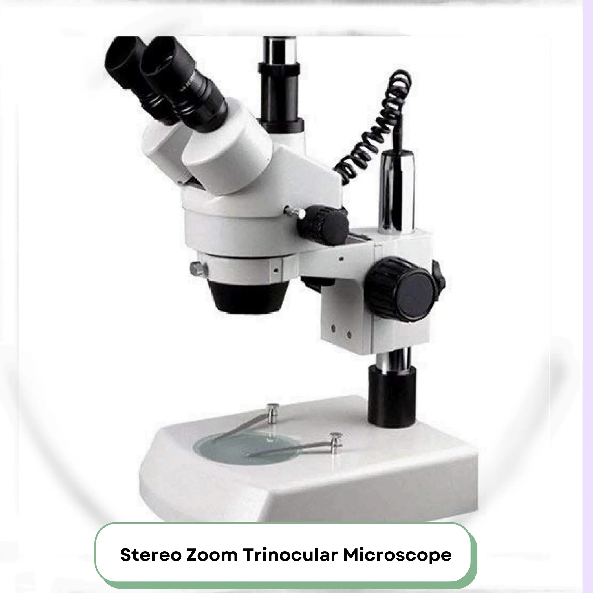 What are some Different Types of Microscope? | PDF