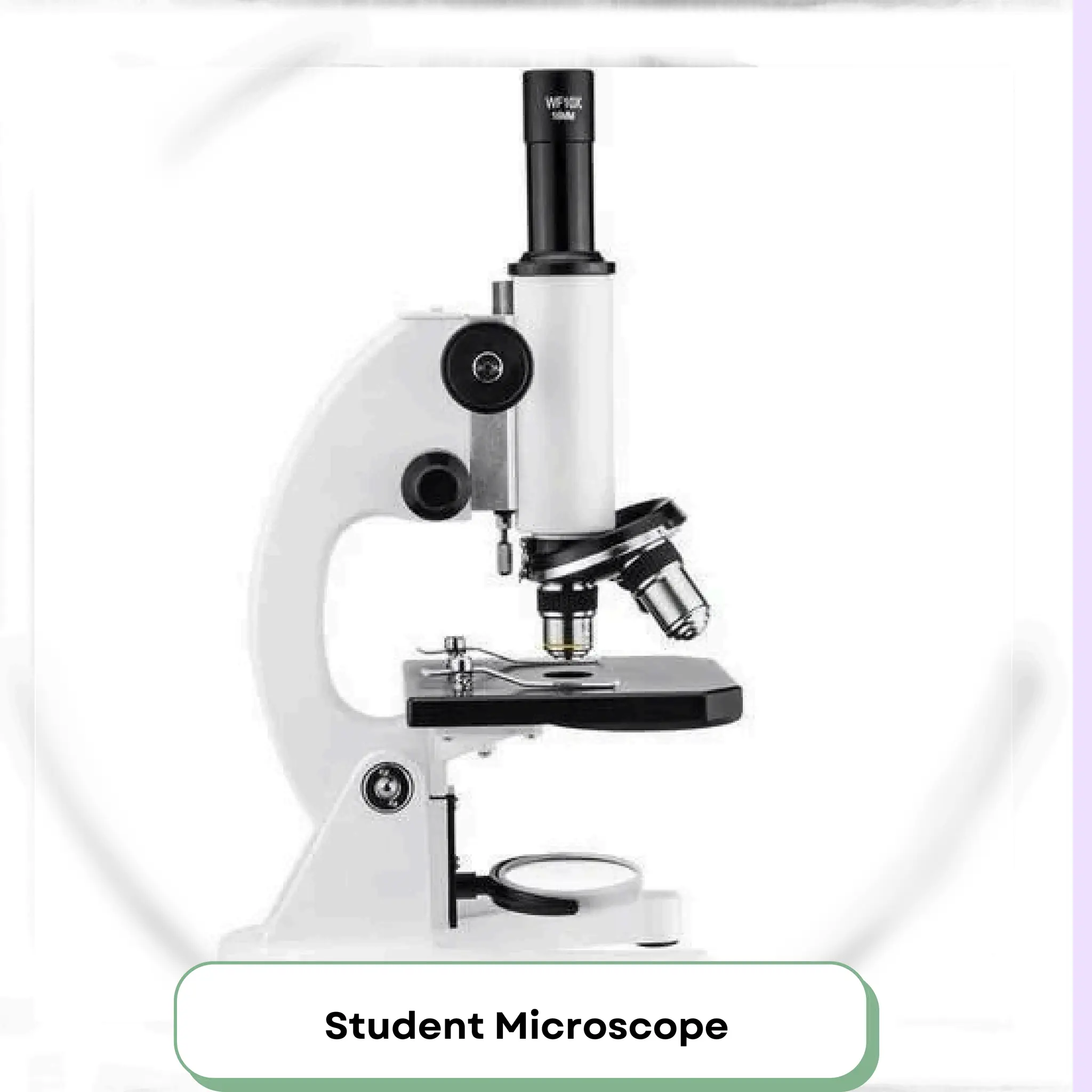 What are some Different Types of Microscope? | PDF
