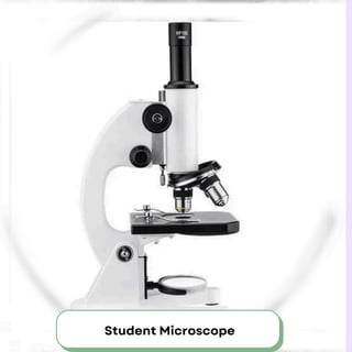 What are some Different Types of Microscope? | PDF