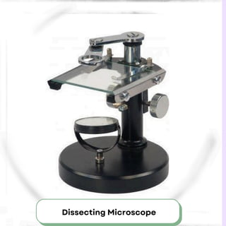 What are some Different Types of Microscope? | PDF