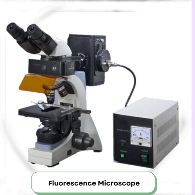 What are some Different Types of Microscope? | PDF