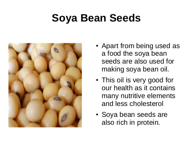 Oil Seeds,Types of Oil Seeds,Indian Oil Seeds,Vegetable Oilseeds