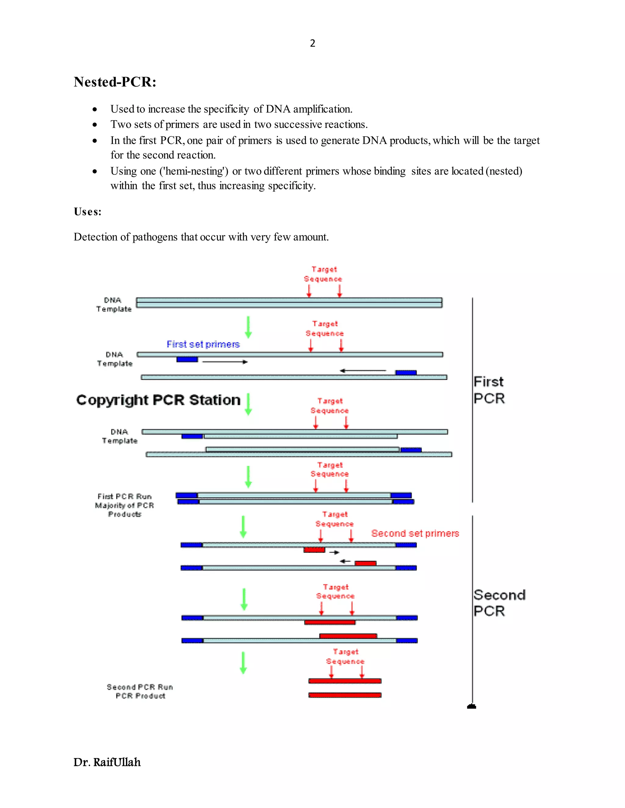 Different types of PCR | DOCX