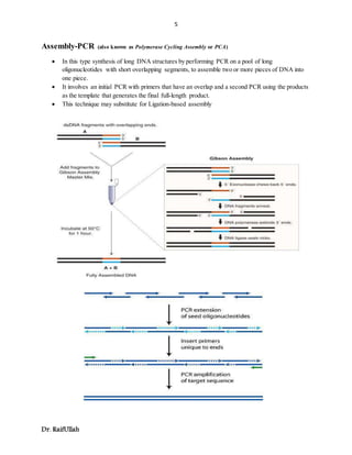 Different types of PCR | DOCX