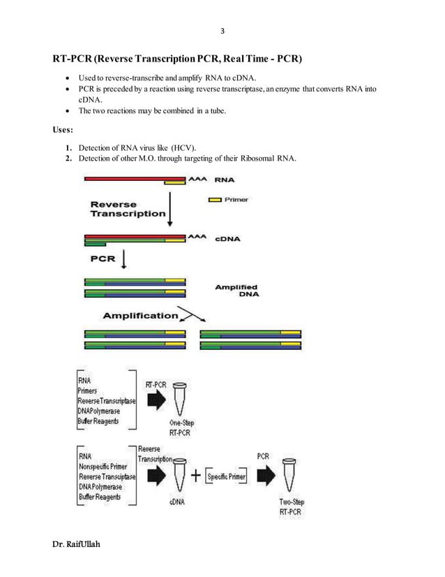 Different types of PCR