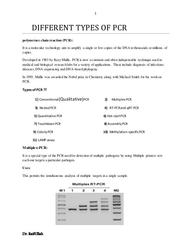 Types Of Pcr Common Kinds Of Polymerase Chain Reaction Polymerase