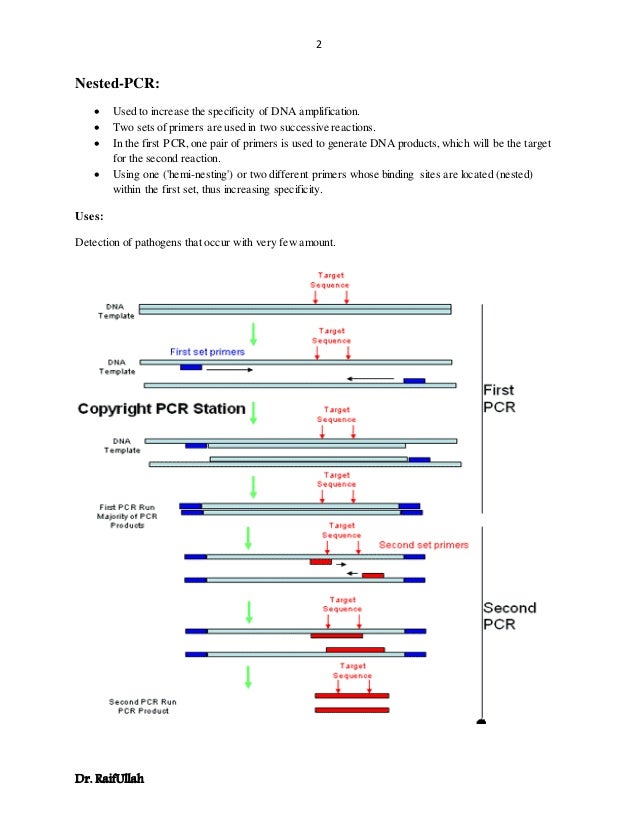 Different types of PCR