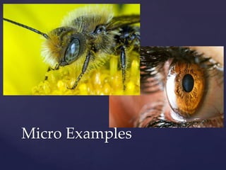 Different types of photography001 | PPT