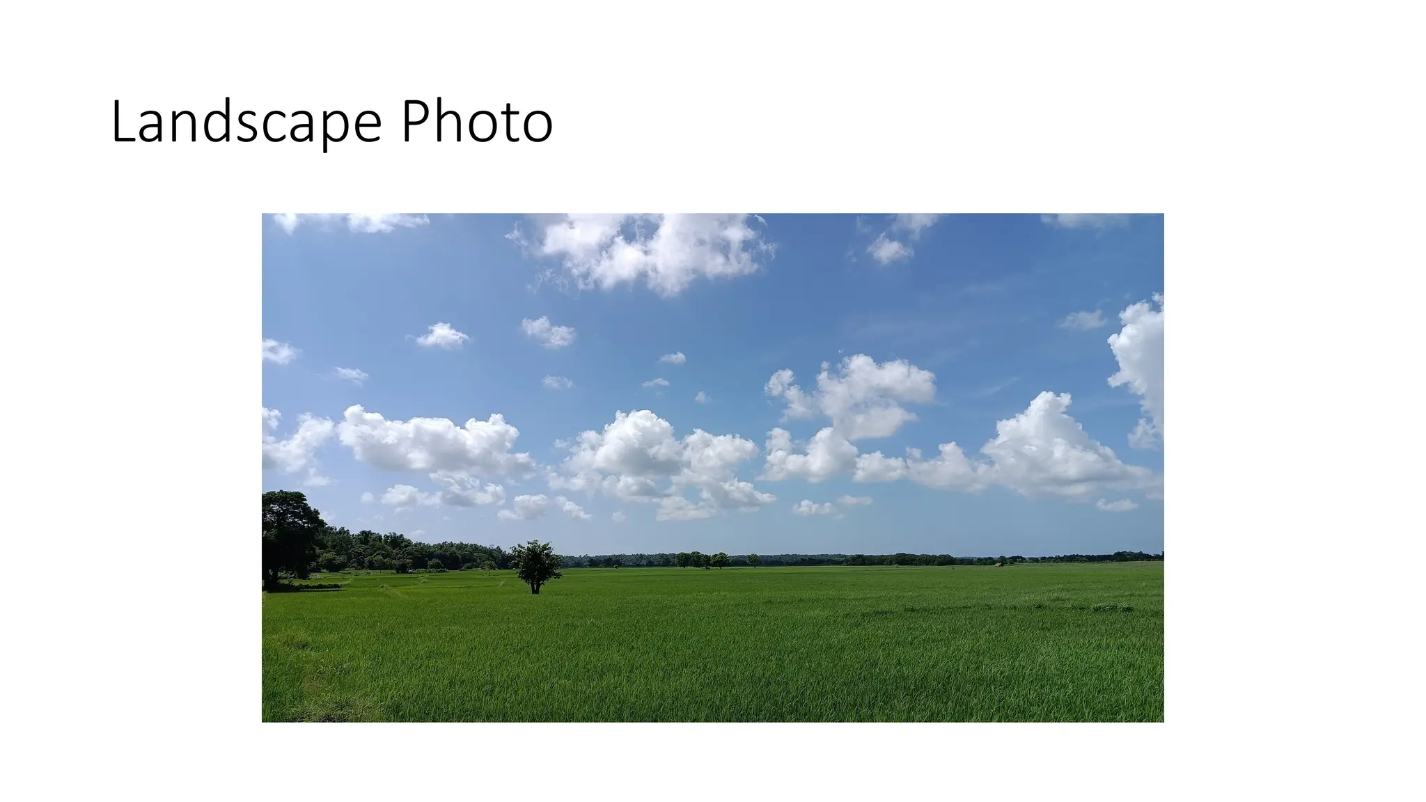 Different Types of Photos, examples.pptx