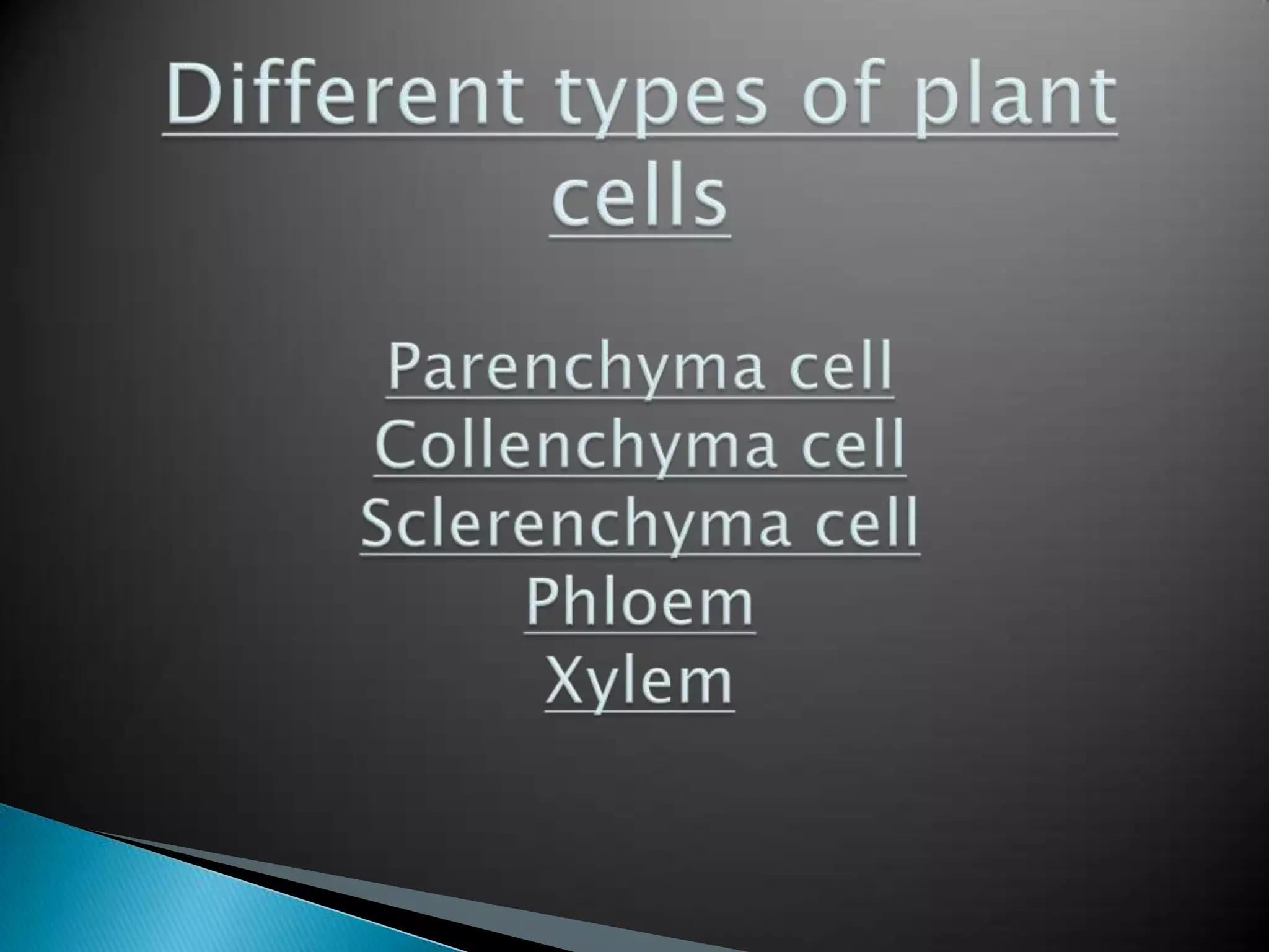 Different types of plant cells | PPTX