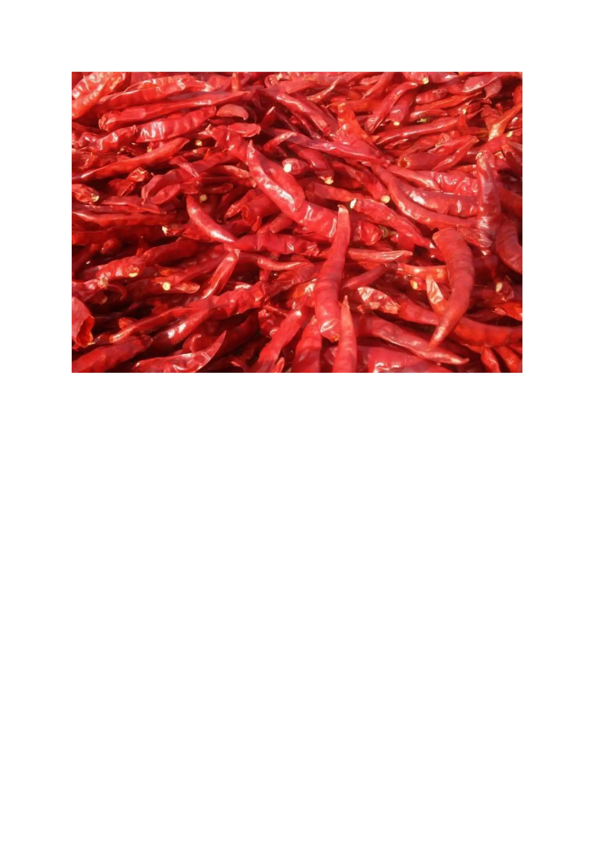 Different types of red chilli powder ind | PPT