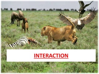 Different types of relations among organisms (1) | PPTX