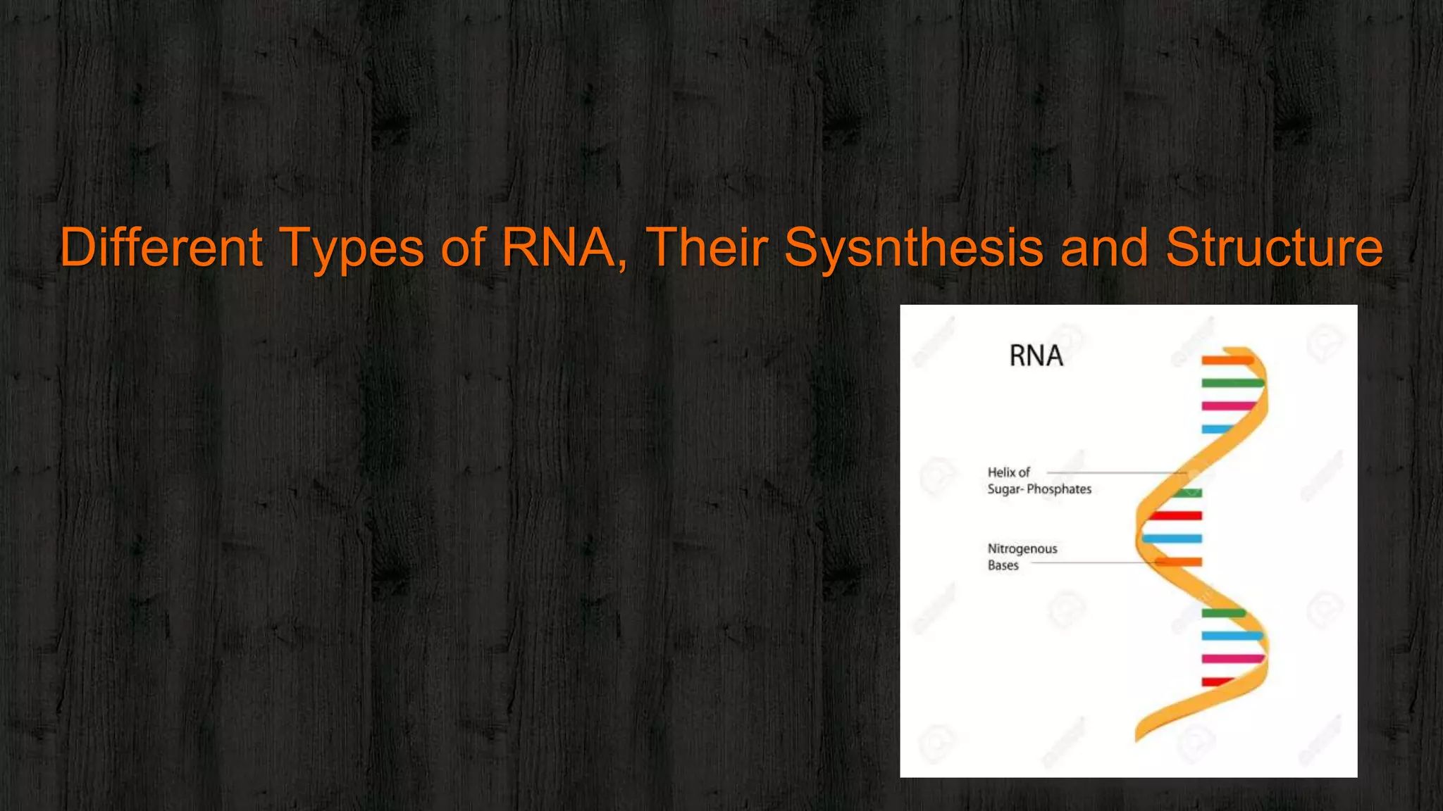 Different Types of RNA, Their Sysnthesis and Structure.pptx