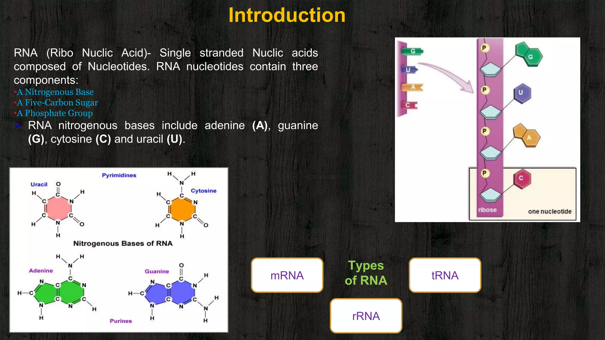 Different Types of RNA, Their Sysnthesis and Structure.pptx