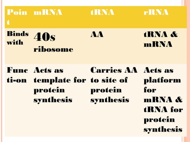 Different types of rna & translation | PPT