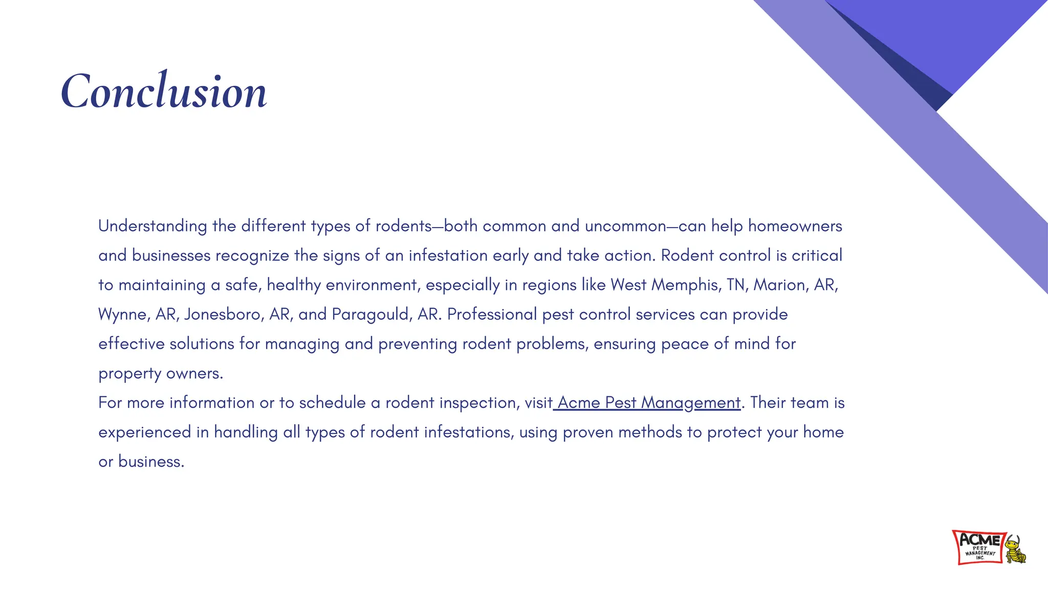 Different Types of Rodents: Common and Uncommon Rodent Species | PDF