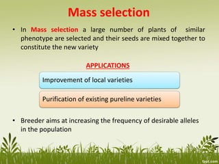 Bulk method pedigree method &line breeding | PPTX