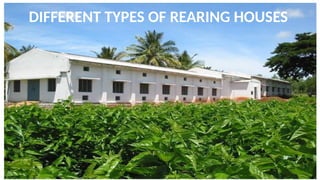 Different Types Of Silk Worm Rearing Houses.pptx